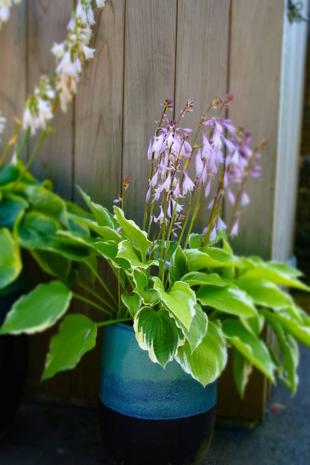 Gallery | Hey Farm Barn